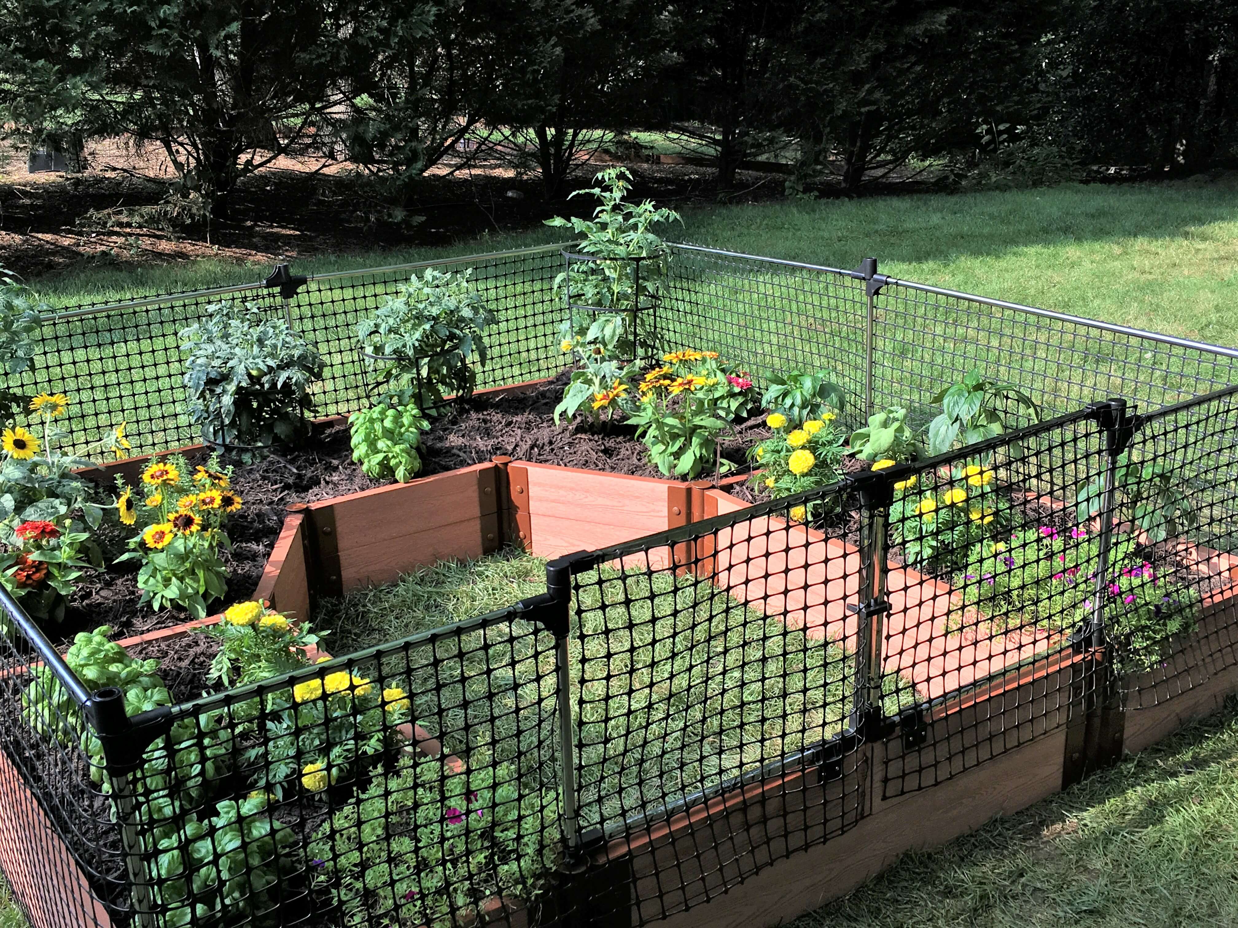 Raised Garden Bed with Fence: A Complete Guide
