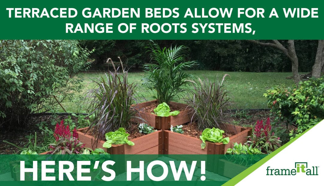 Terraced Garden Beds Allow For A Wide Range Of Roots Systems, Here’s H ...