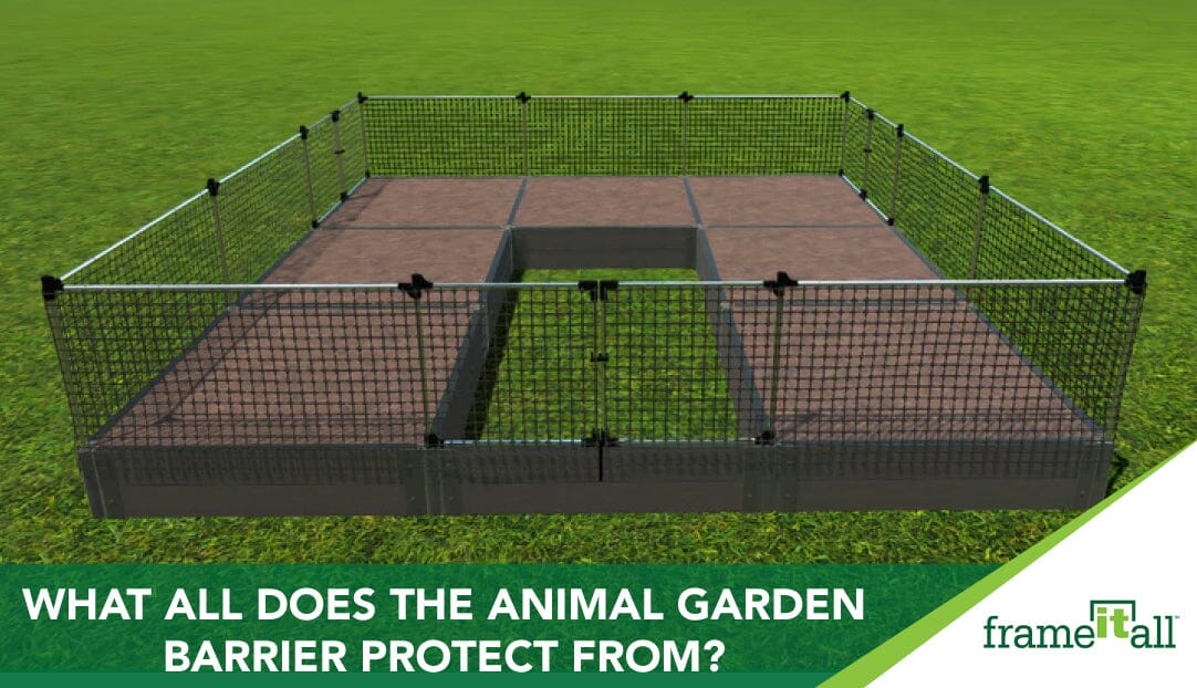 What Does An Animal Garden Barrier Protect From? — Frame It All