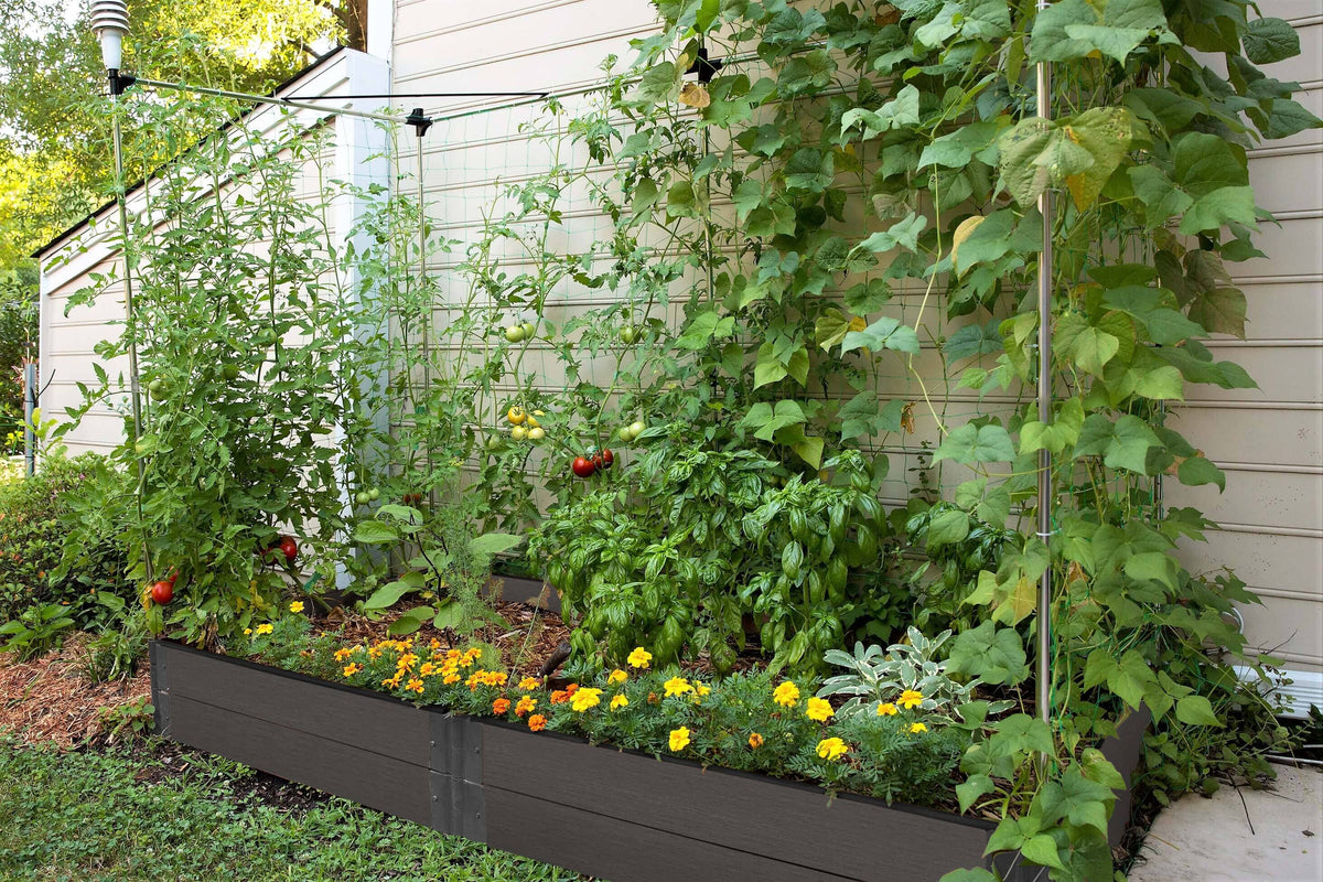 4' x 8' Raised Garden Bed with Trellis — Frame It All
