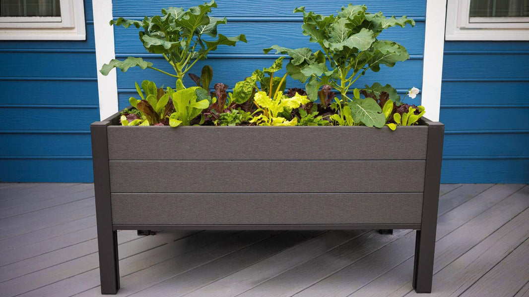 Shop Raised Garden Beds with Legs Online - Frame It All